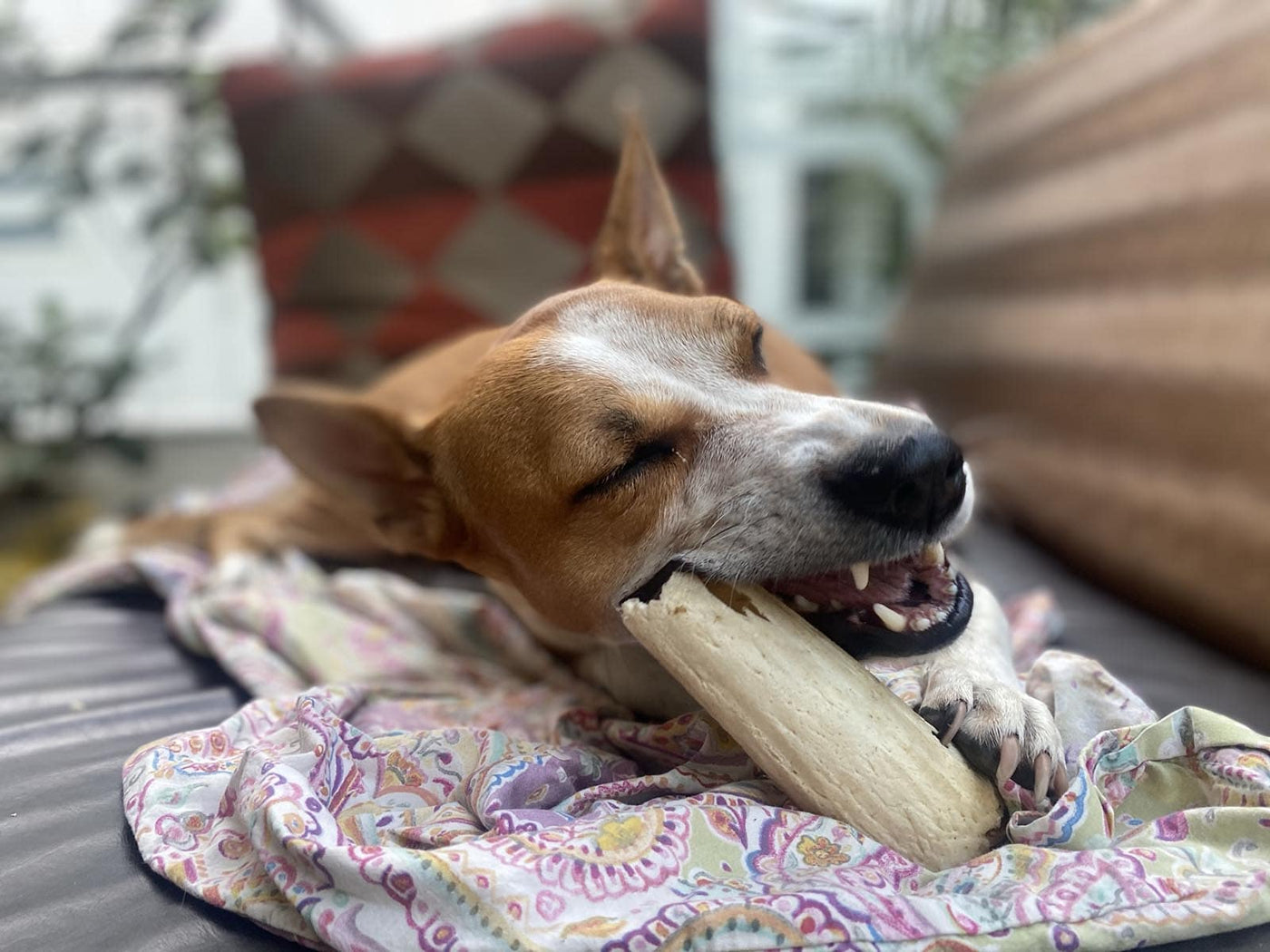 A deep dig into Mental Health & Food