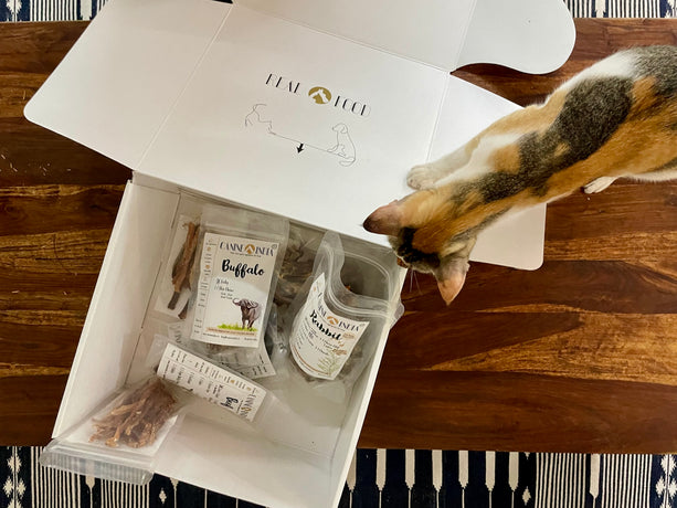 India's First Species-Appropriate Pet Food - Canine India